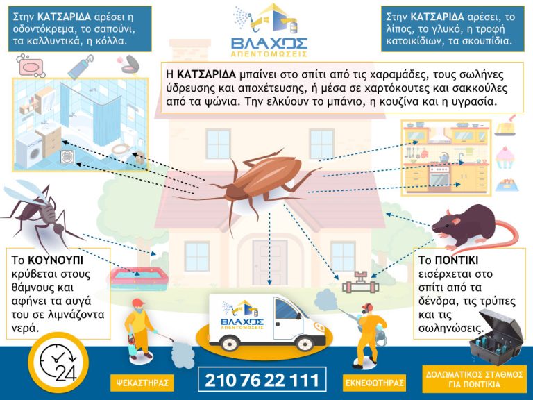 ΑΠΕΝΤΟΜΩΣΗ - Τι είναι και ποια είναι η σωστή διαδικασία!